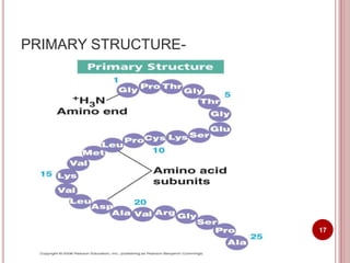 Configuration and conformers of biomolecules | PPTX