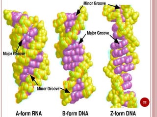 Configuration and conformers of biomolecules | PPTX