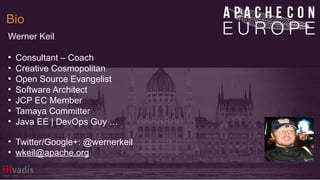 Configure Your Projects with Apache Tamaya | PDF