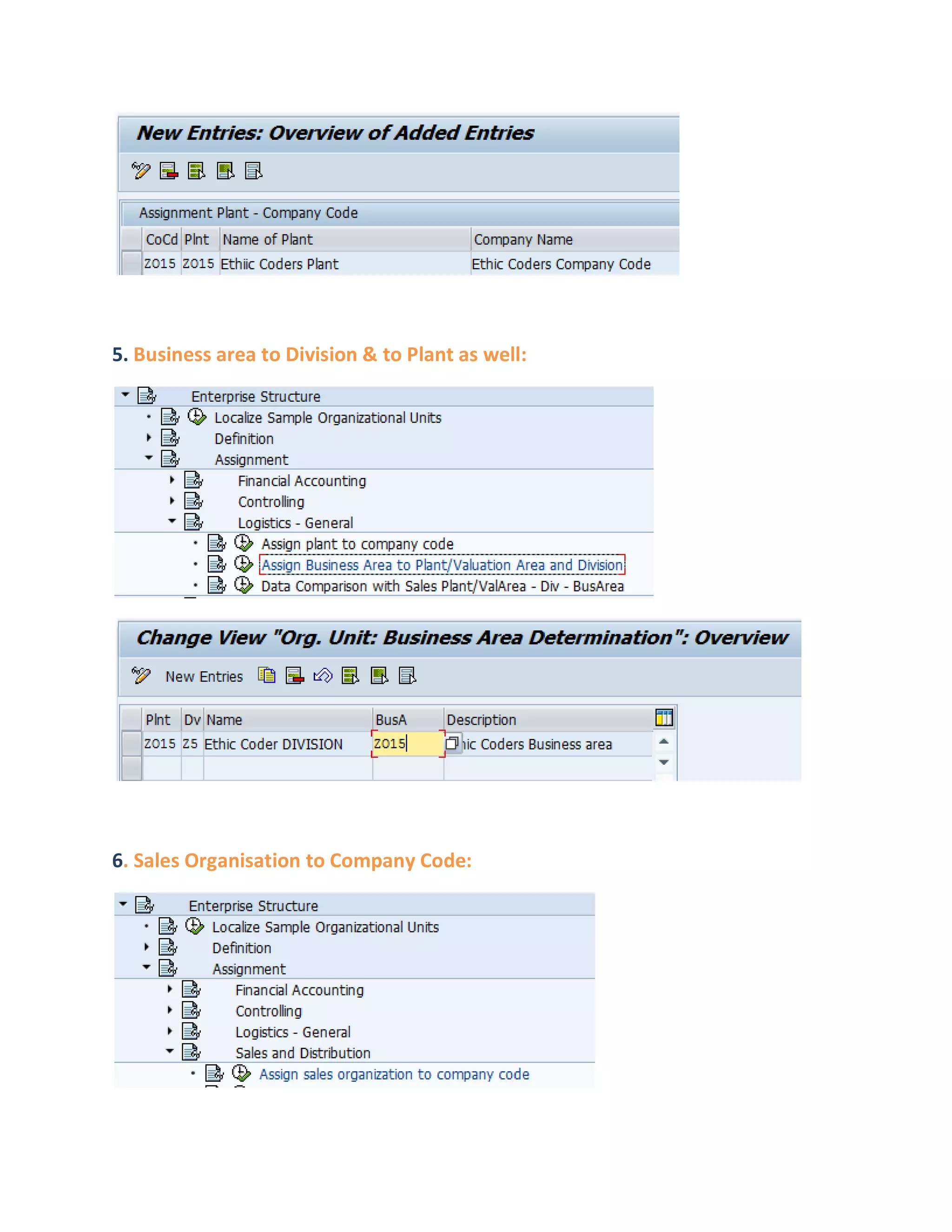 Configuring SAP Organization Structure for SAP MM,SD,FI | PDF