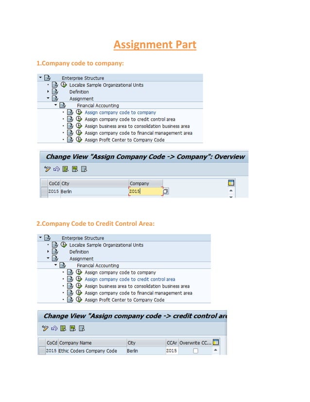 Configuring SAP Organization Structure for SAP MM,SD,FI | PDF