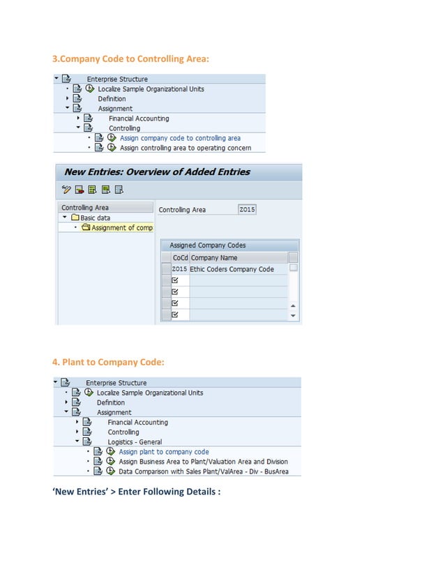 Configuring SAP Organization Structure for SAP MM,SD,FI | PDF