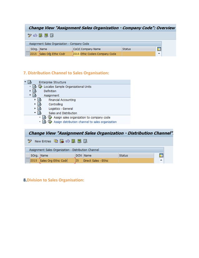 Configuring SAP Organization Structure for SAP MM,SD,FI | PDF