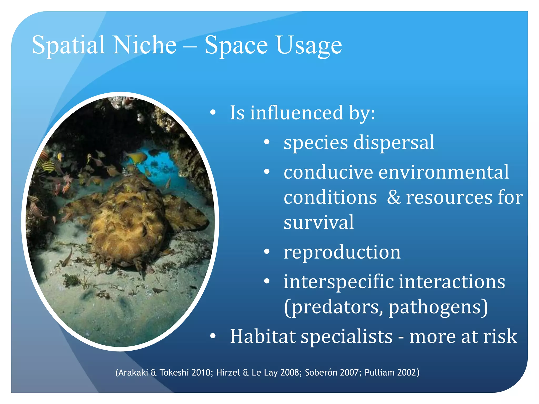 PhD confirmation - ecology of estuarine sharks & rays | PPT