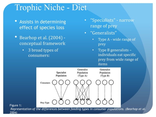 PhD confirmation - ecology of estuarine sharks & rays | PPT