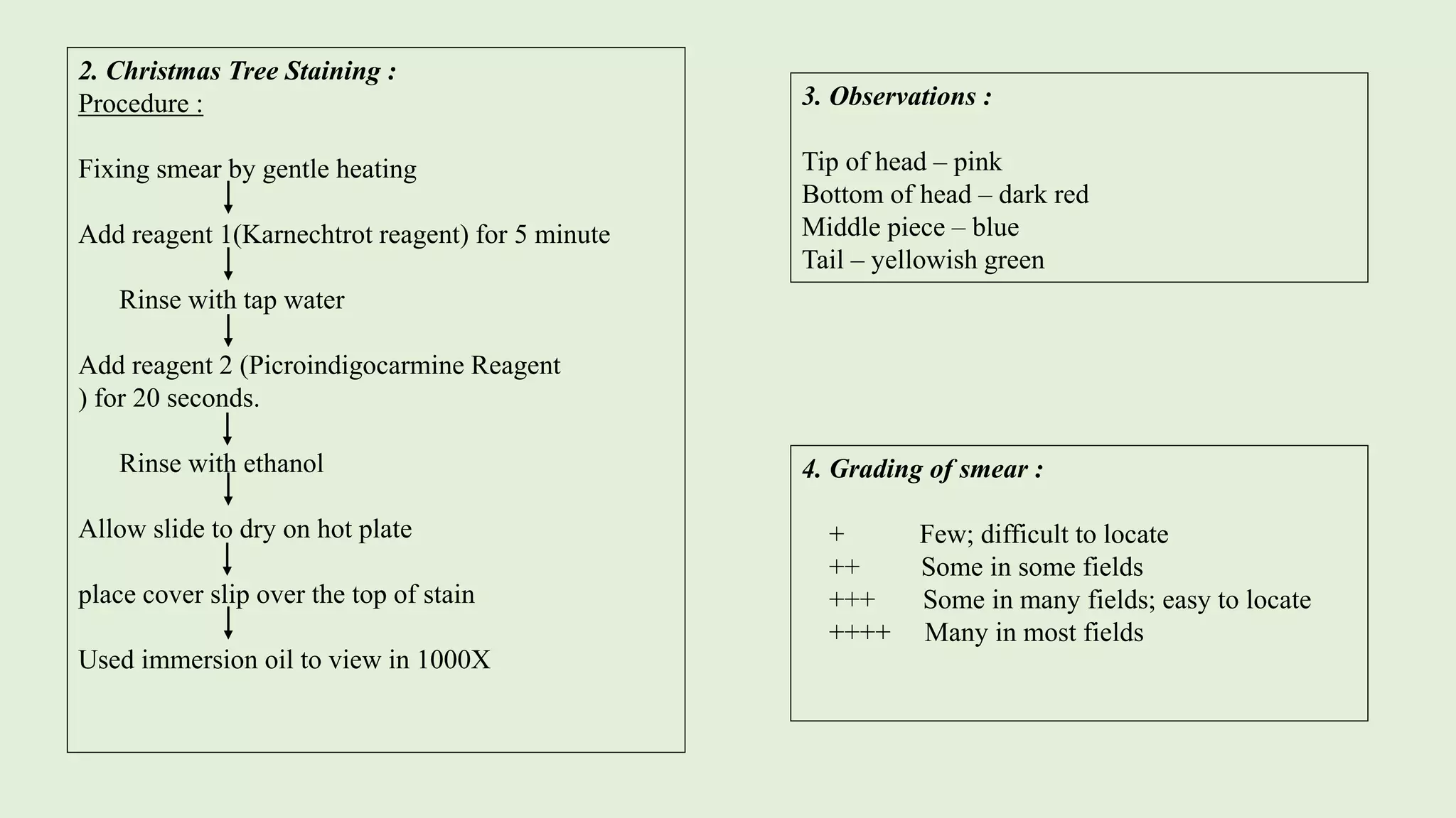 Confirmatory Test for Semen identification | PDF