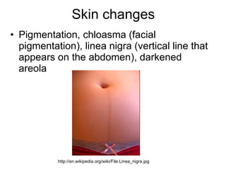 Confirming pregnancy | PPT