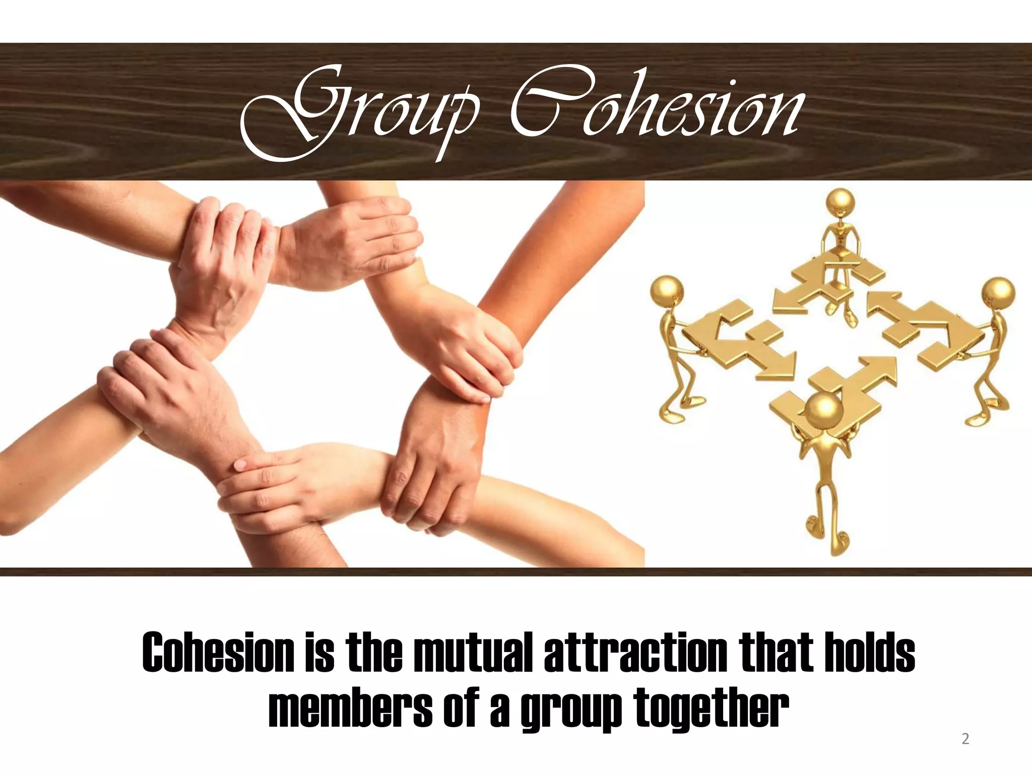 Cohesion and Conflict | PDF