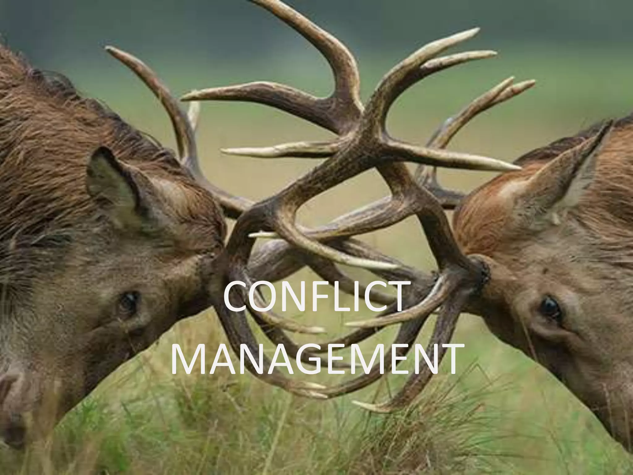 Conflict management | PPT