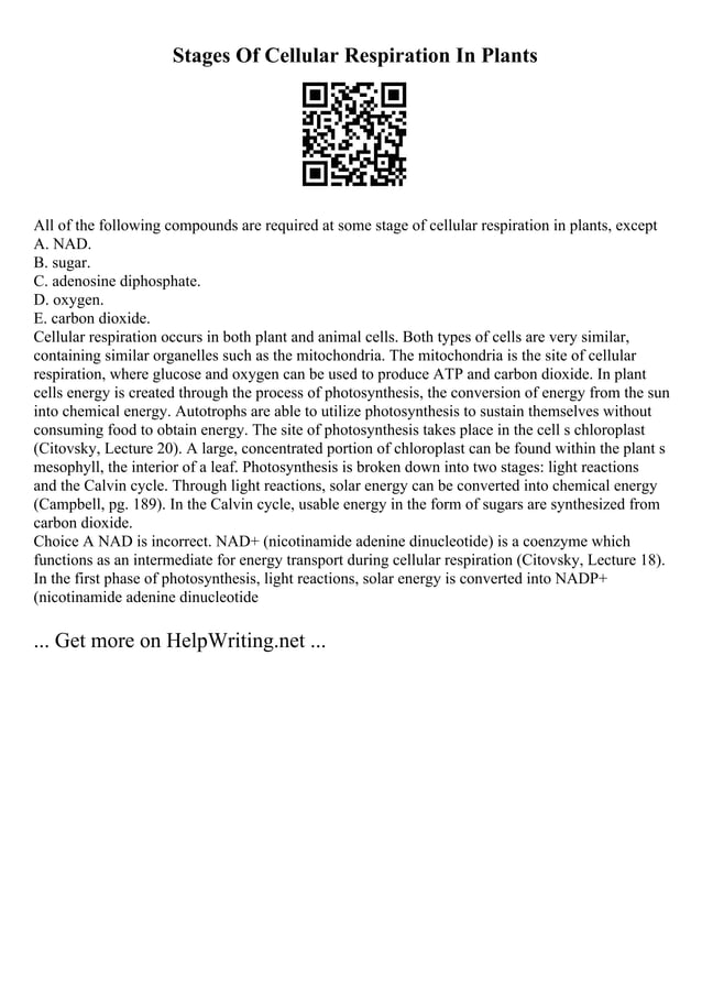 Conflict Resolution Essay Conclusion | PDF