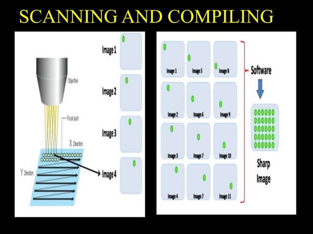 Confocal laser scanning microscopy | PPTX