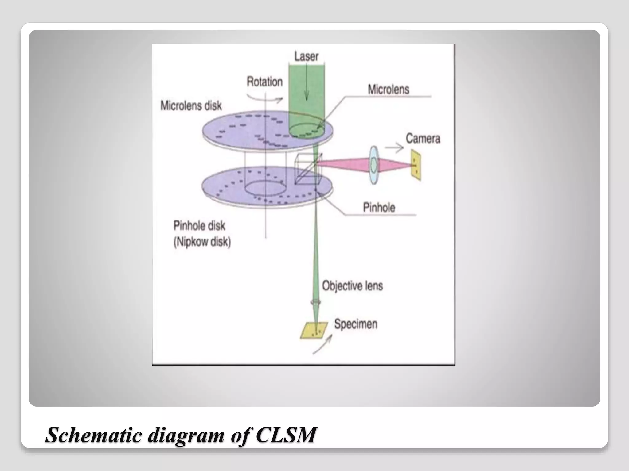 Confocal laser scanning microscopy (clsm) | PPTX