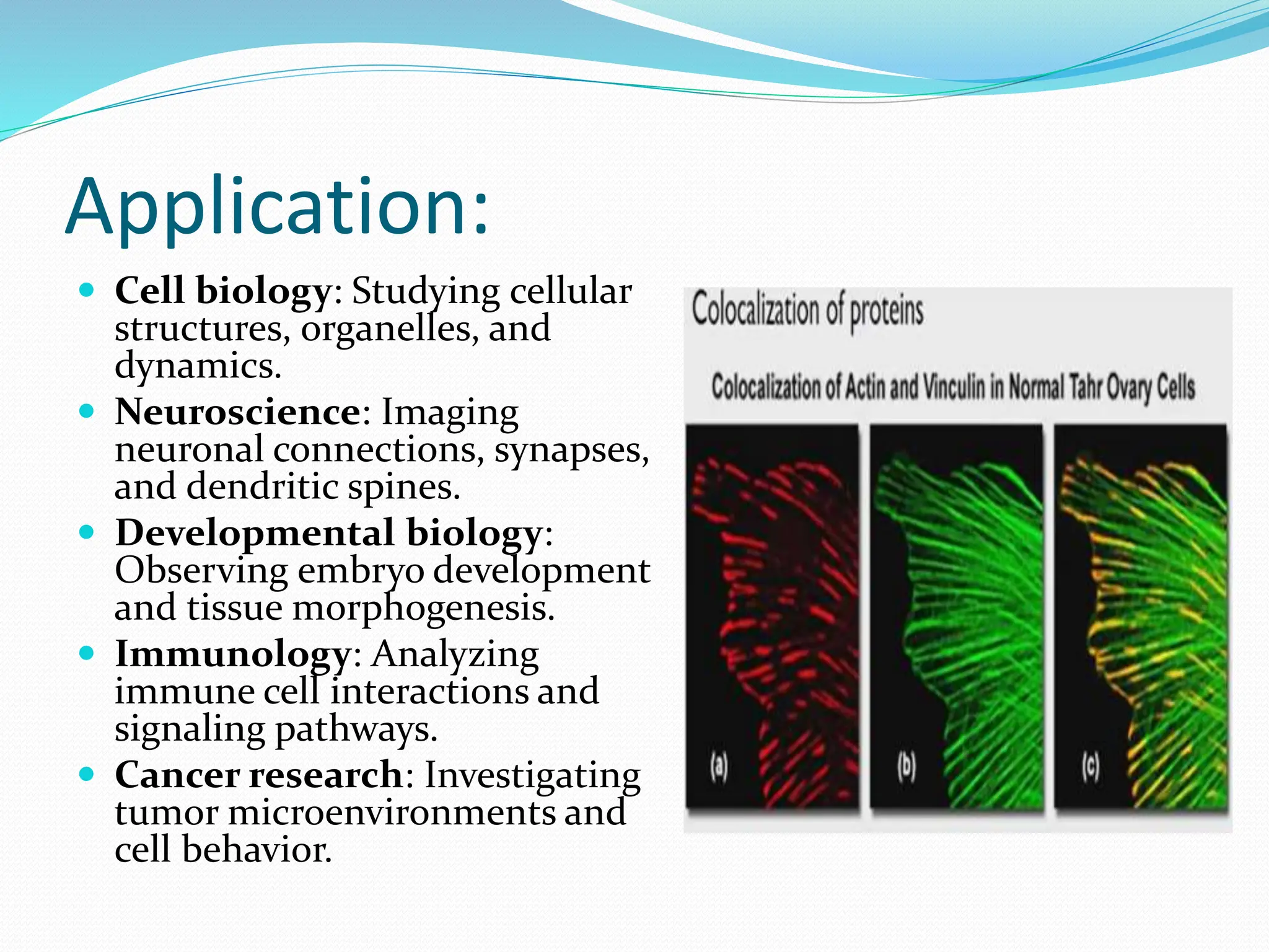 Confocal microscope ppt and their working mechanism | PPTX