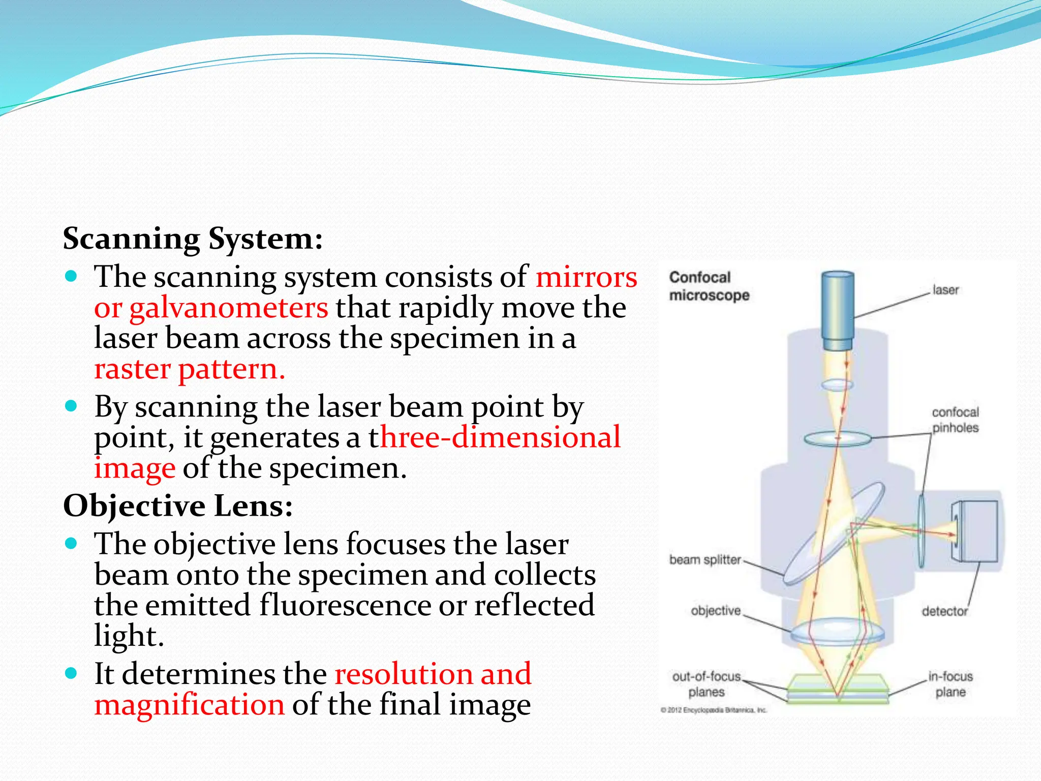 Confocal microscope ppt and their working mechanism | PPTX