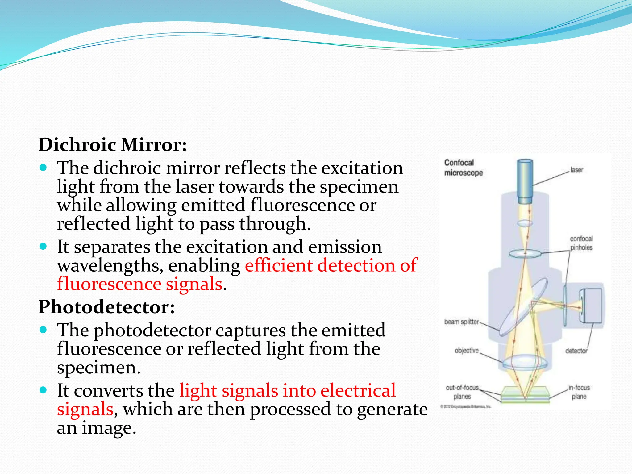 Confocal microscope ppt and their working mechanism | PPTX