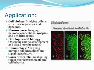 Confocal microscope ppt and their working mechanism | PPTX