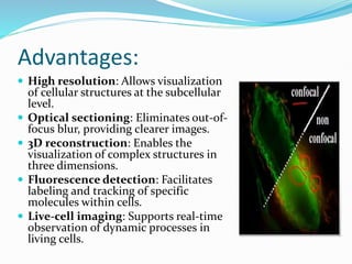 Confocal microscope ppt and their working mechanism | PPTX