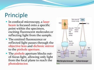 Confocal microscope ppt and their working mechanism | PPTX