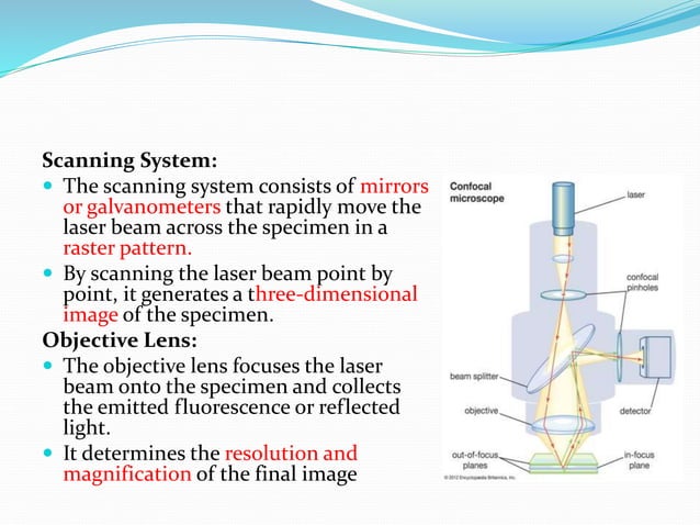 Confocal microscope ppt and their working mechanism | PPTX | Biological Sciences | Science