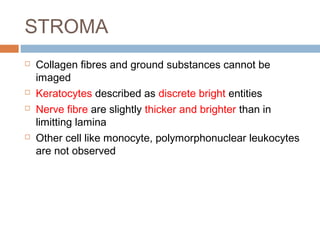Confocal microscope presentation | PPT