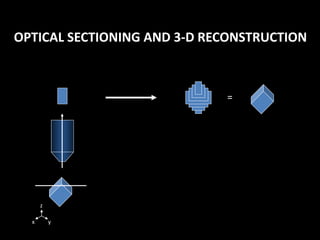 Confocal microscope presentation pt | PPTX
