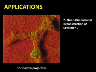 Confocal microscope presentation pt | PPTX