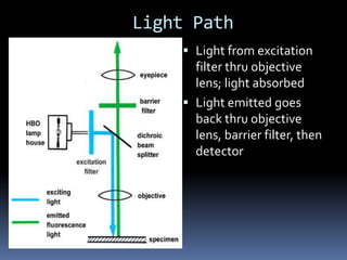 Confocal microscopy | PPTX