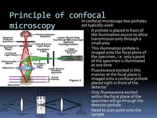 Confocal microscopy | PPTX