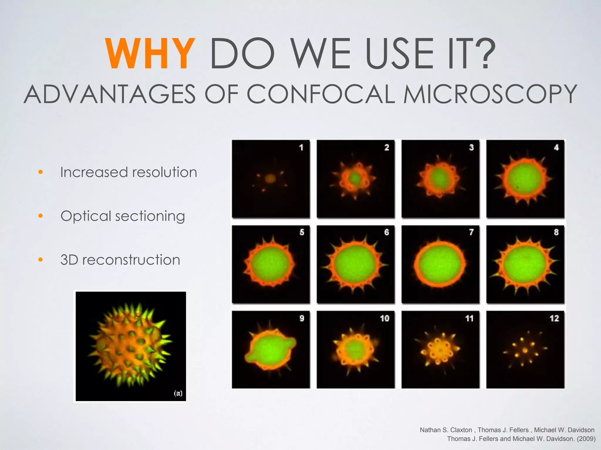 Principles of Confocal Microscopy | PDF