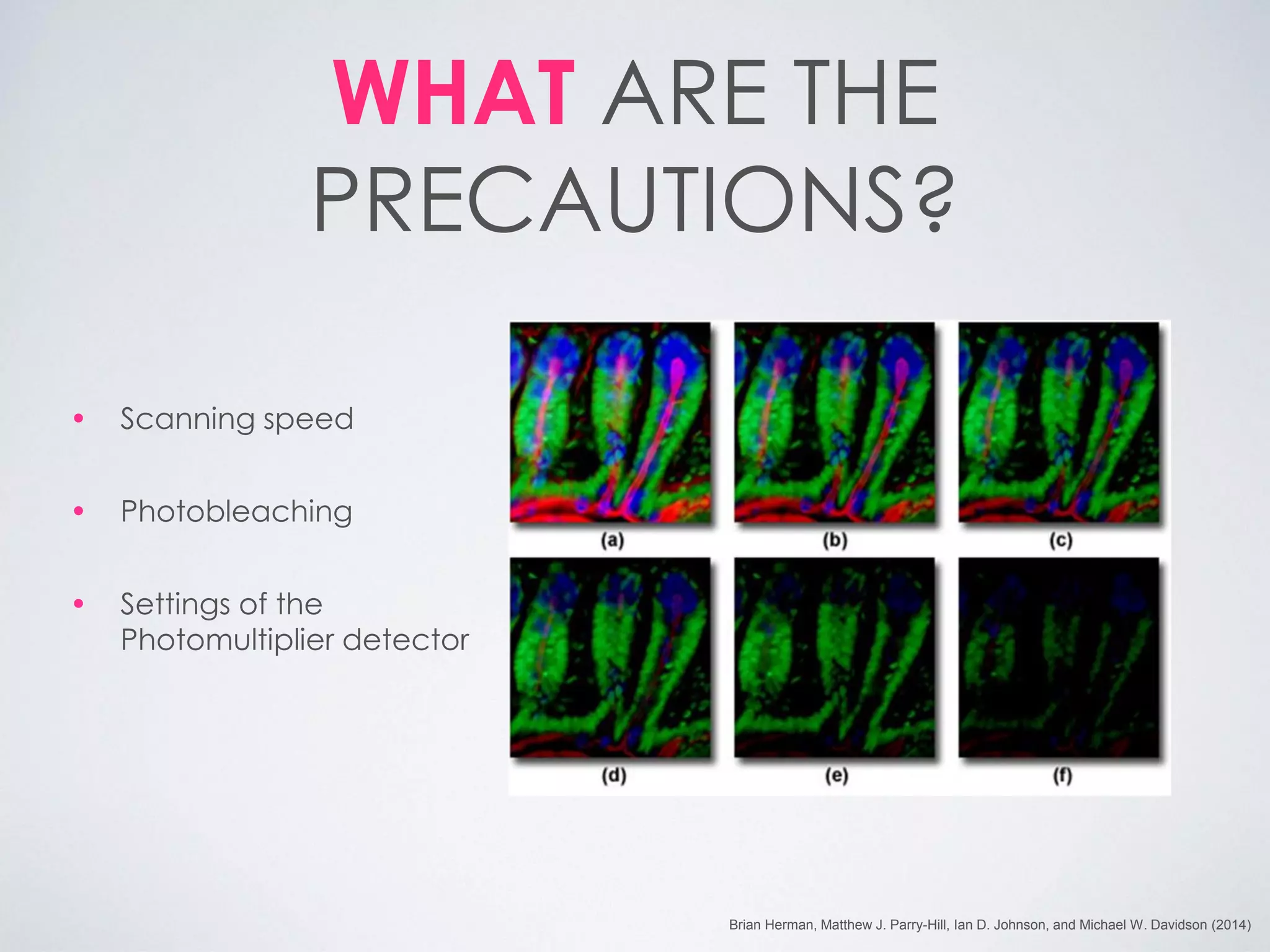 Principles of Confocal Microscopy | PDF