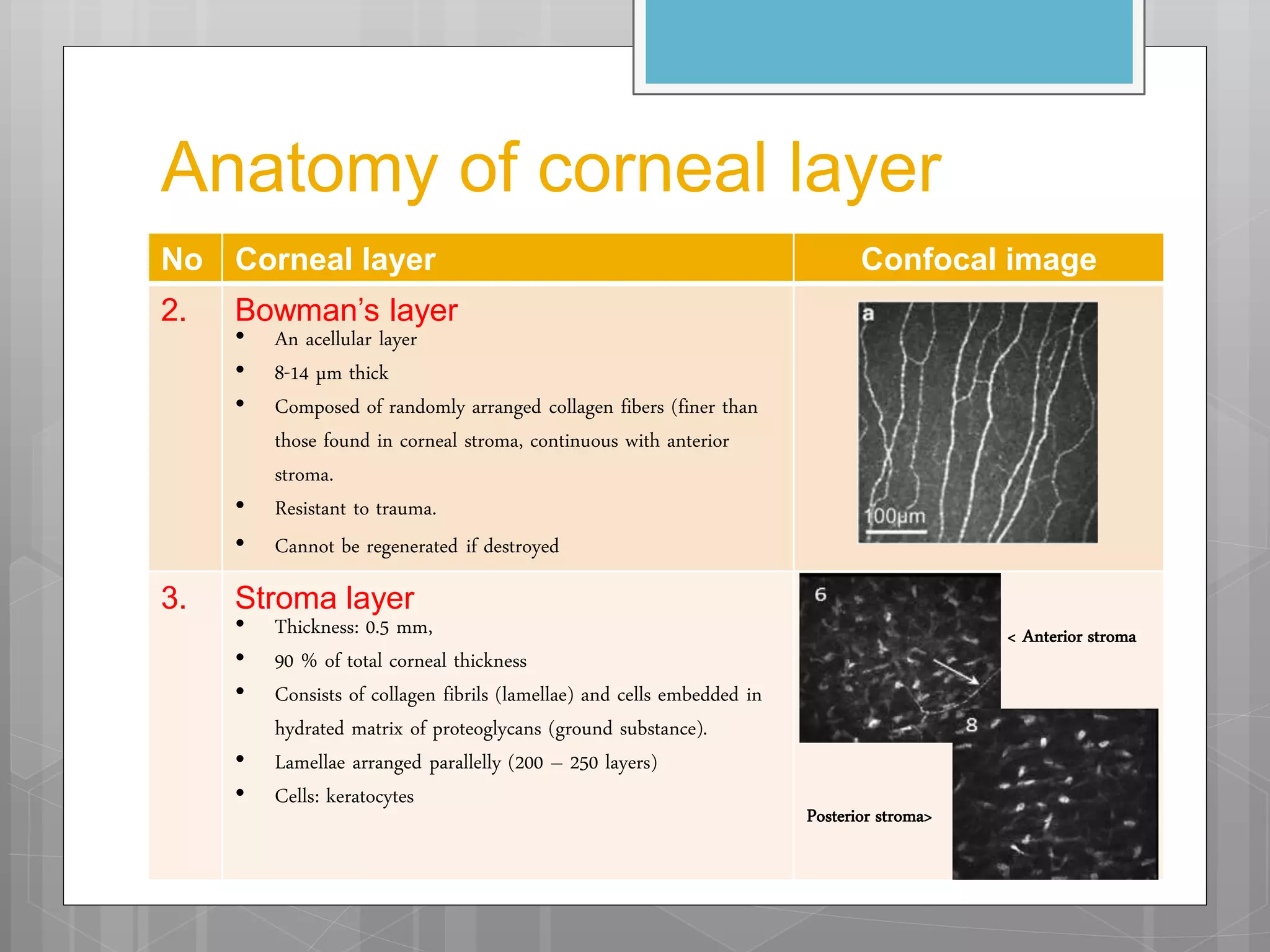 Confocal microscopy | PPT