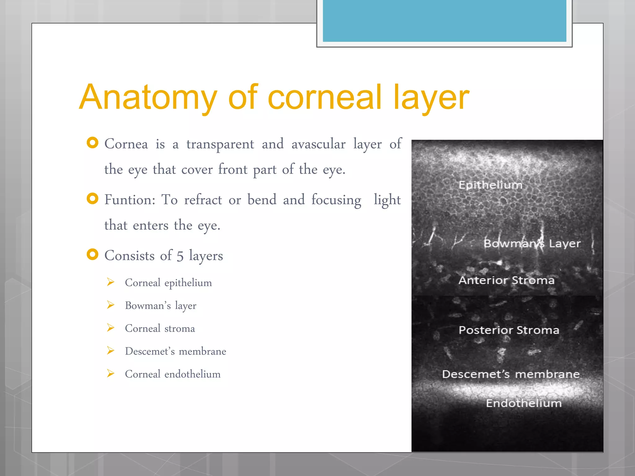 Confocal microscopy | PPT