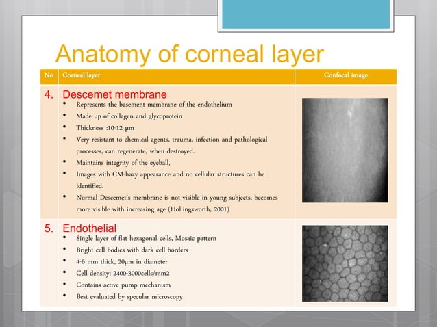 Confocal microscopy | PPT | Eye and Vision Conditions | Diseases and ...