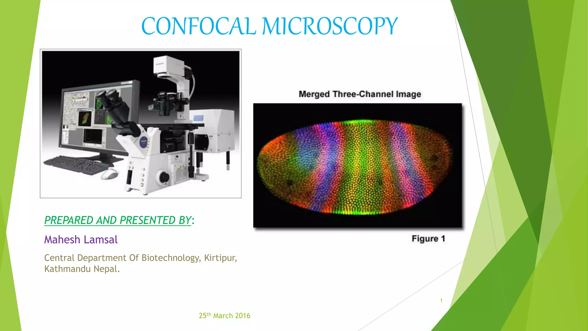 Confocal microscopy | PPTX