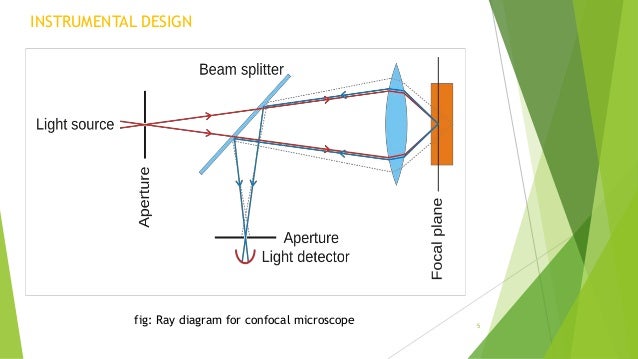 Confocal microscopy