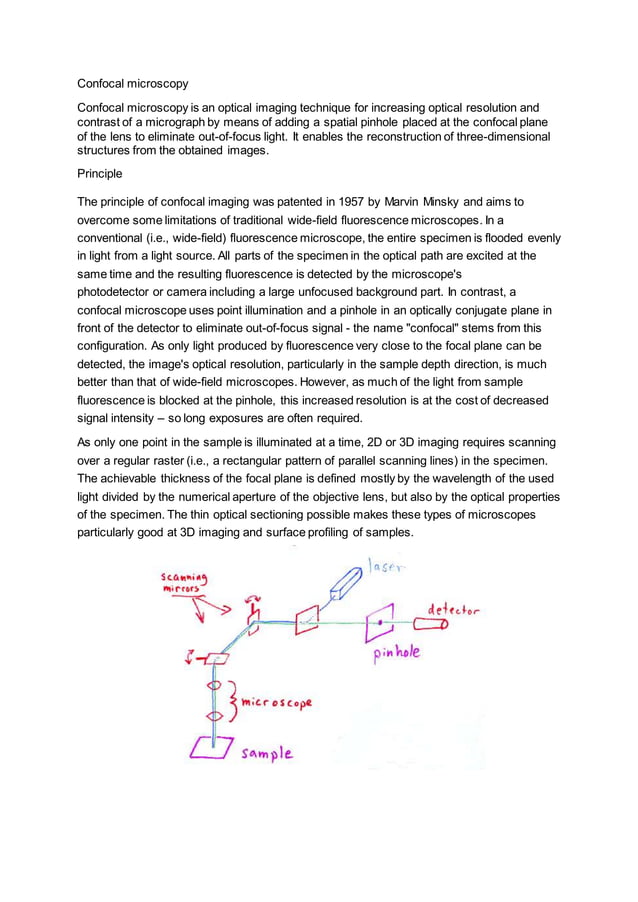 Confocal microscopy | PDF