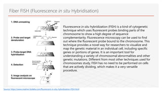 Confocal microscopy | PPTX