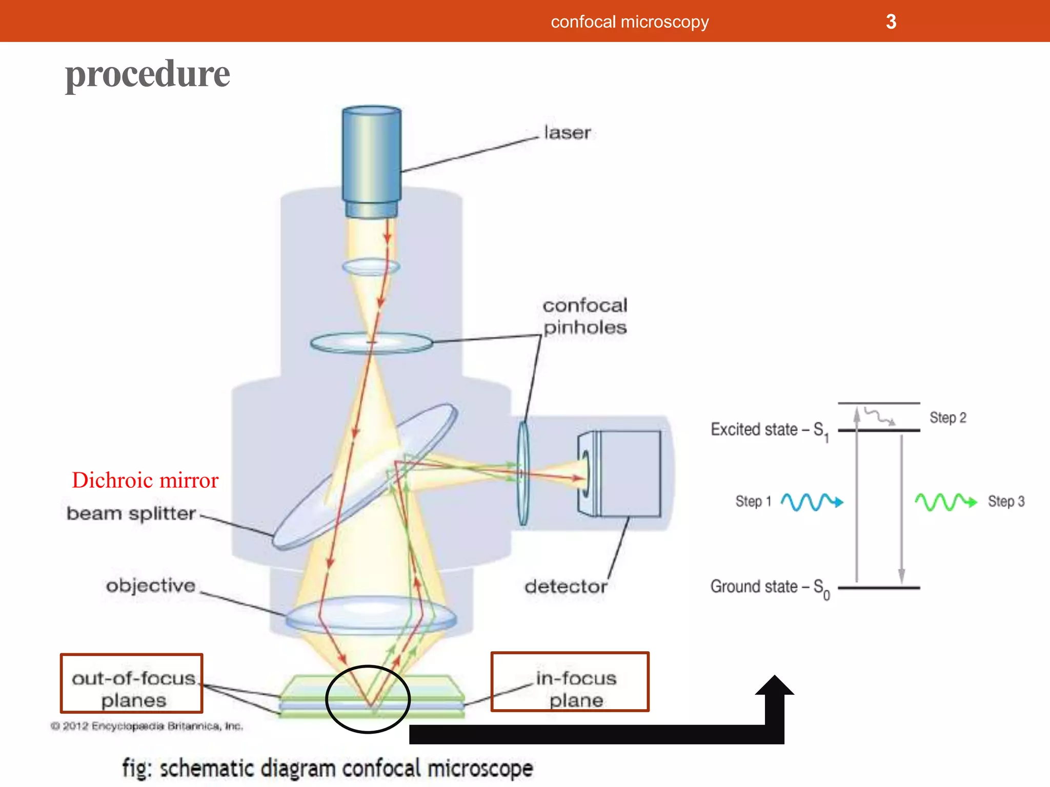 Confocal microscopy | PPT