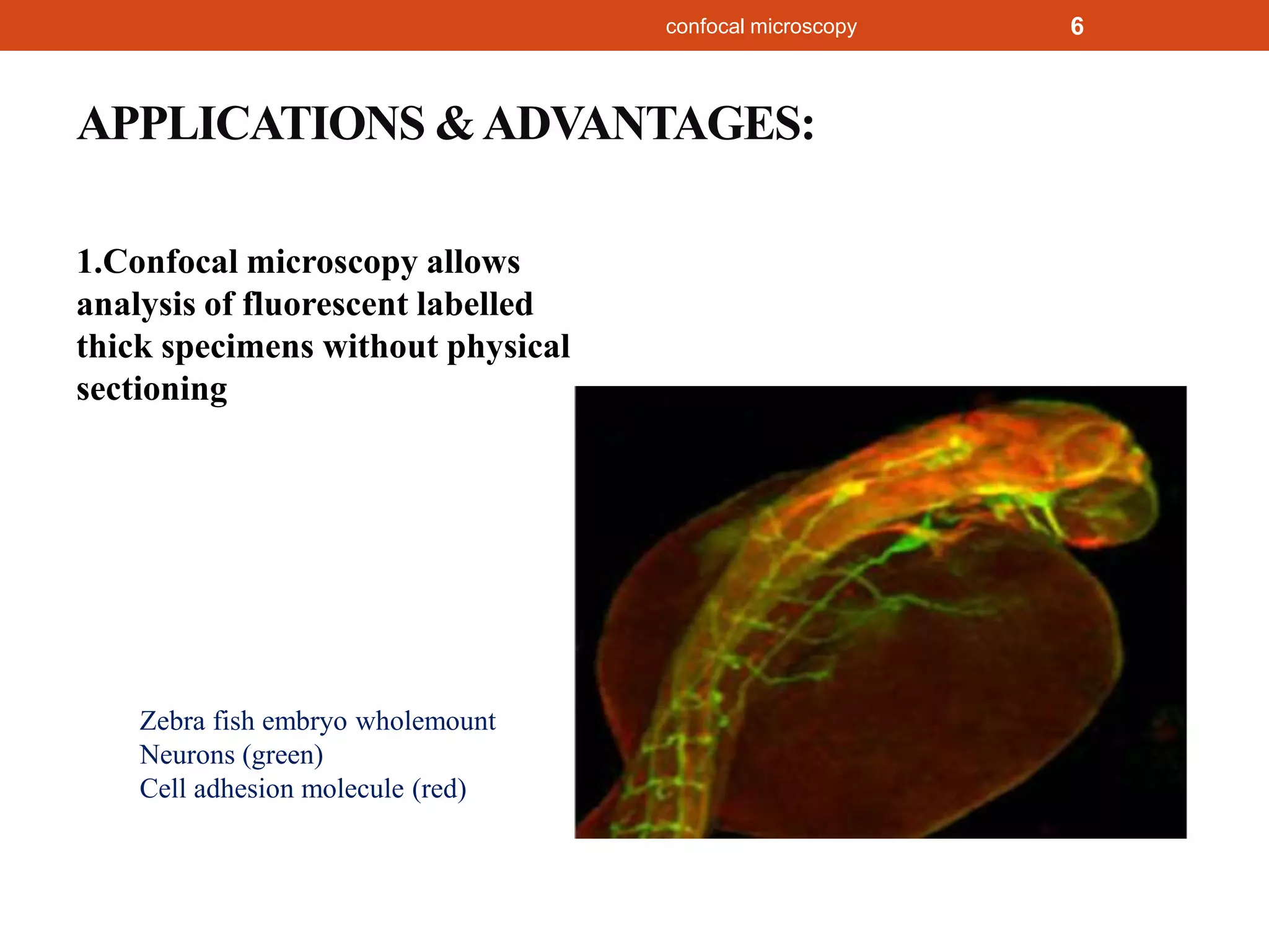 Confocal microscopy | PPT
