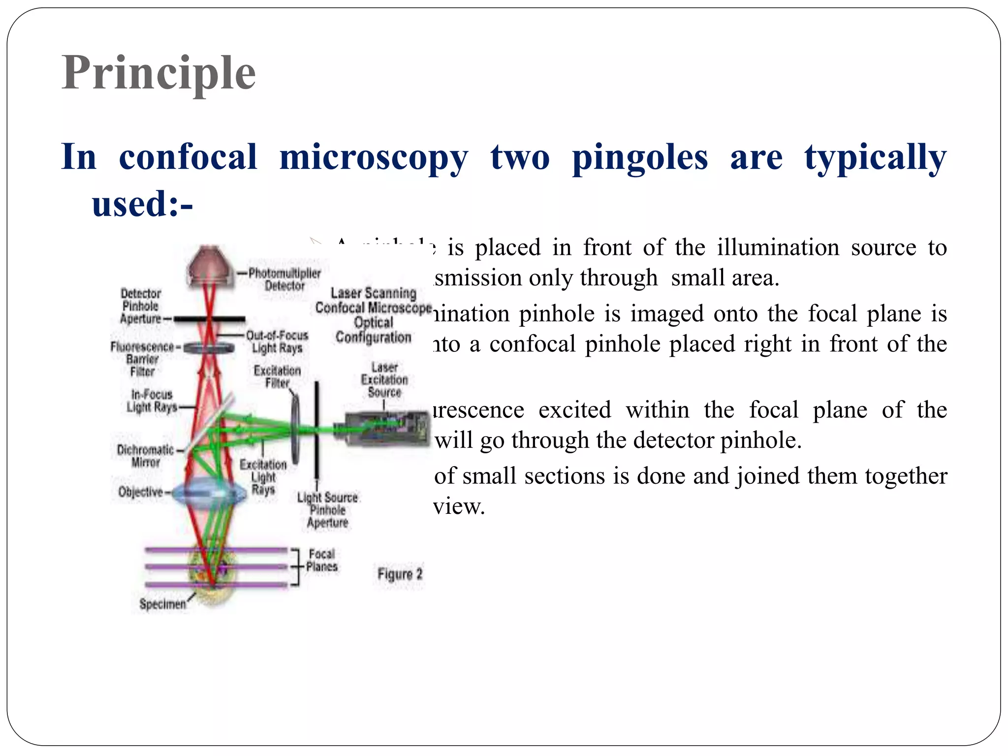 Confocal Microscopy Pptx