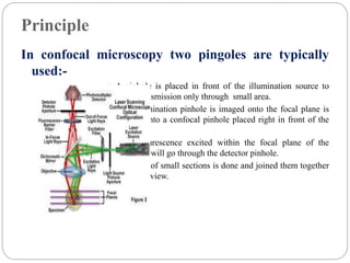 Confocal Microscopy.pptx