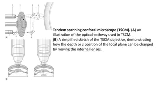 CONFOCAL MICROSCOPY in detail for postgraduates.pdf
