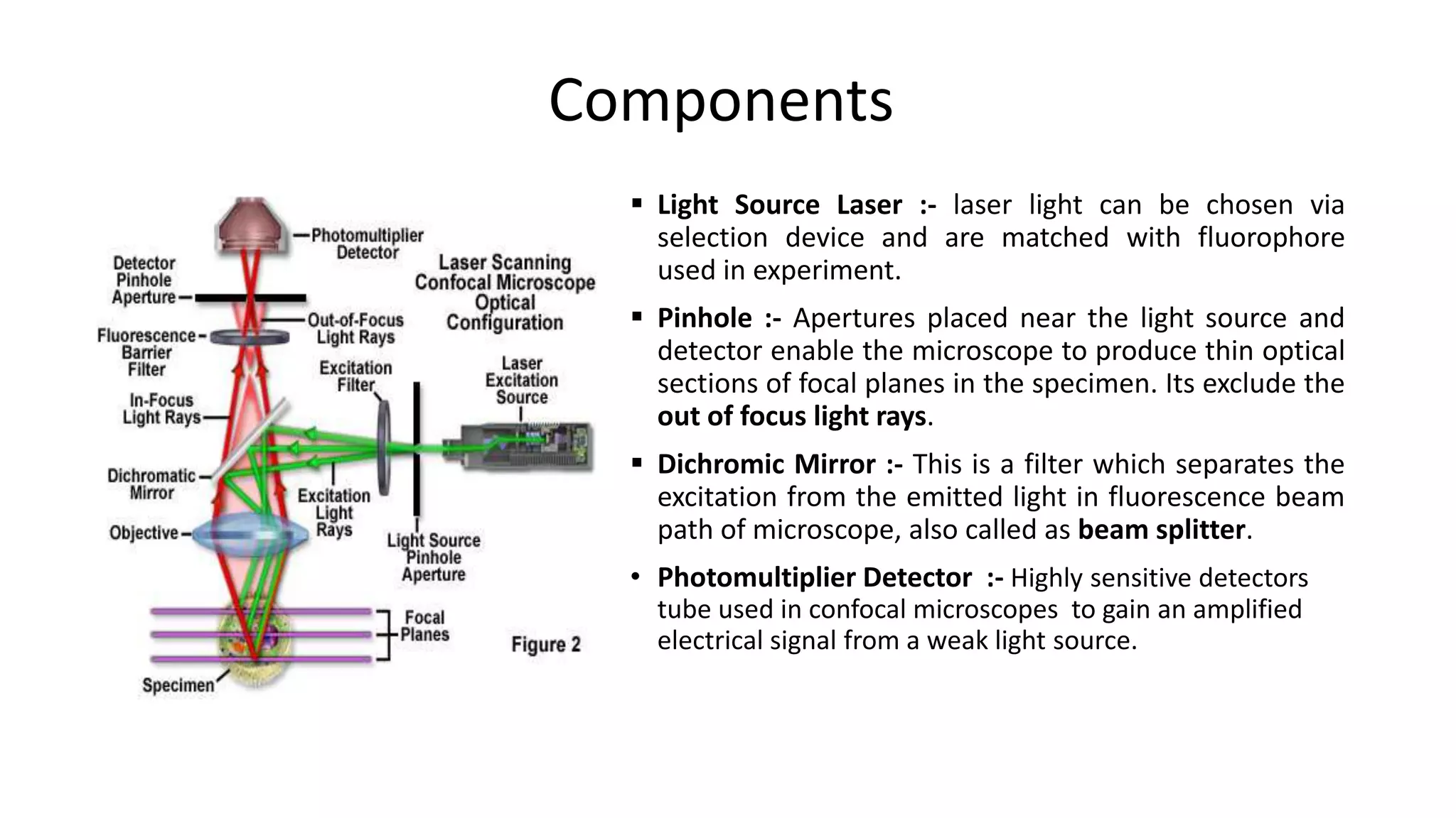 Confocal microscopy by prabhat | PPTX