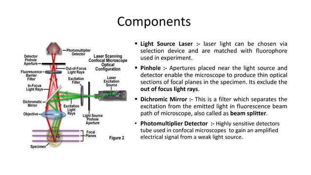 Confocal microscopy by prabhat | PPTX