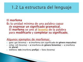 Conformacion del lenguaje | PPTX