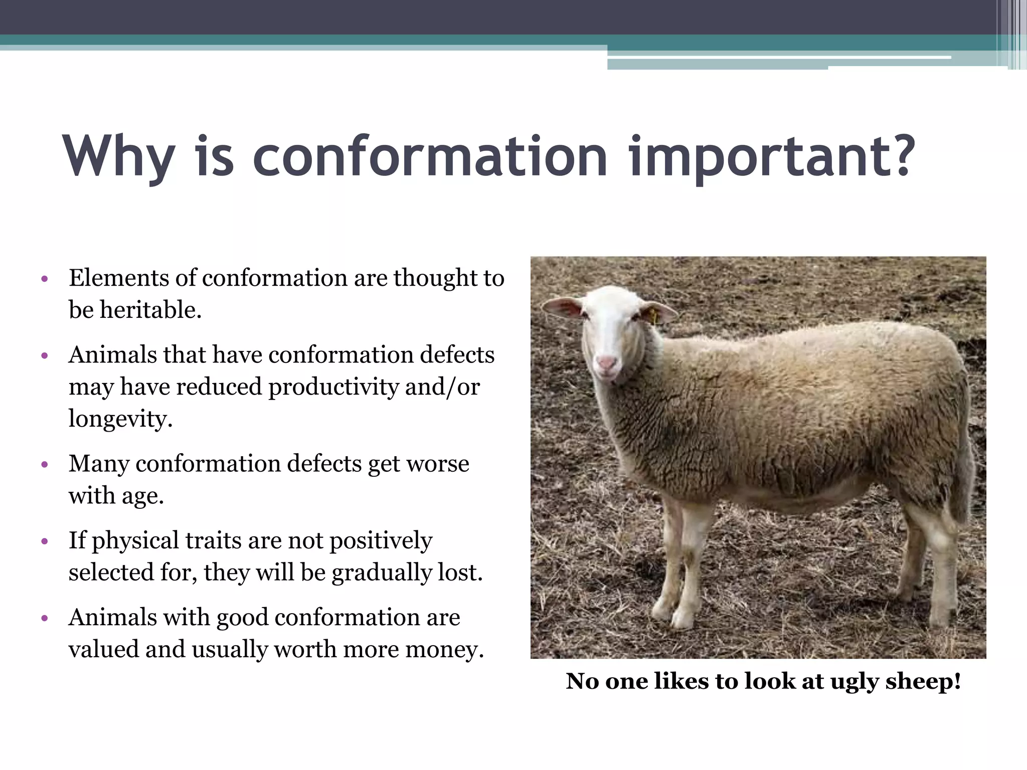 Conformation 101 | PPTX