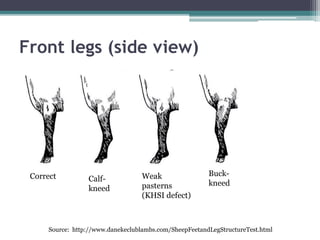 Conformation 101 | PPTX