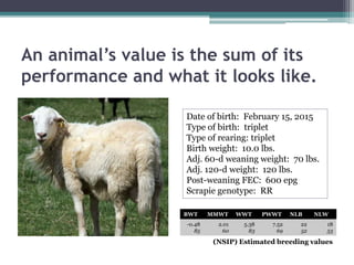 Conformation 101 | PPTX