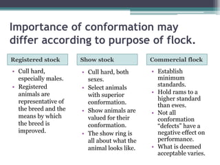 Conformation 101 | PPTX