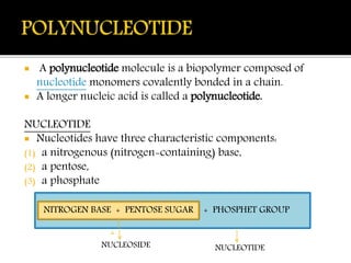 Conformational properties of polysaccharide and polynucleotide | PPTX
